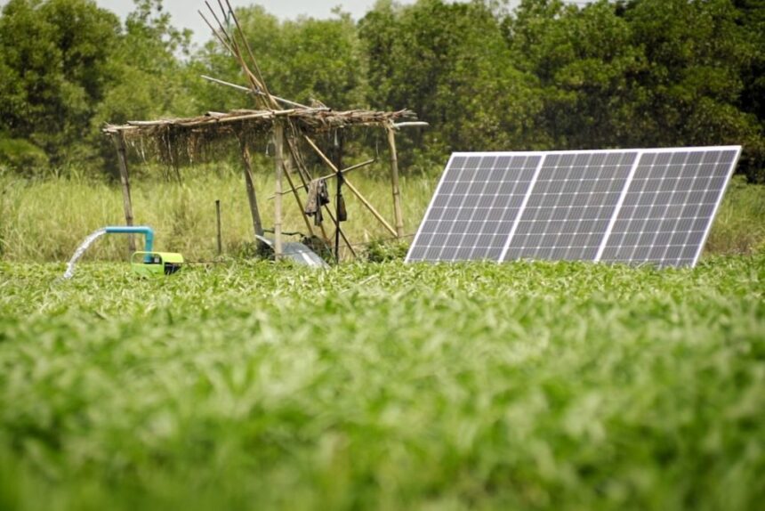 Agrosolar | Solar irrigation systems for smallholder farmers in Myanmar ...