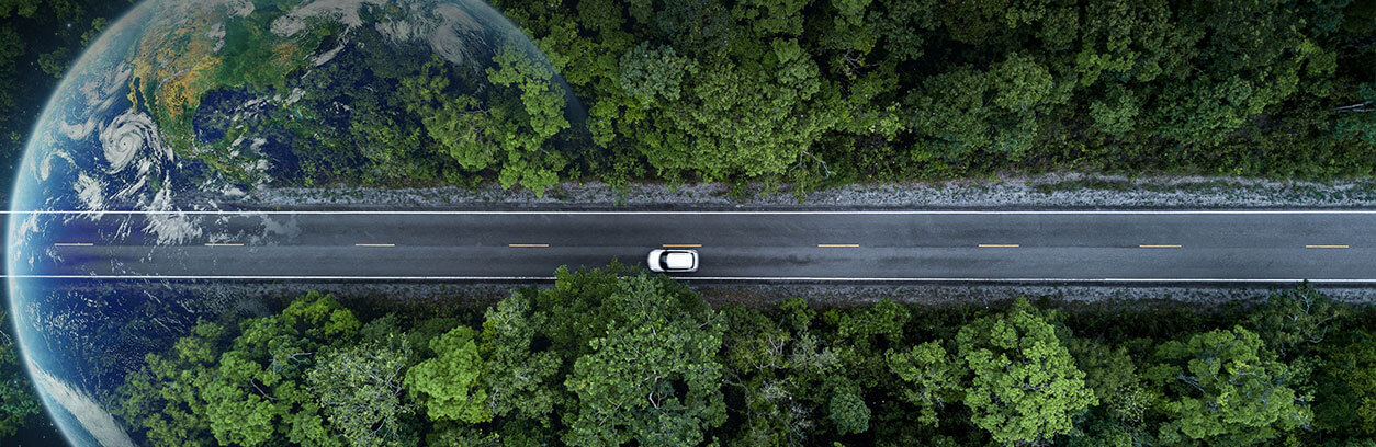 Contact Nexus | Get in Touch for Carbon Offset Solutions